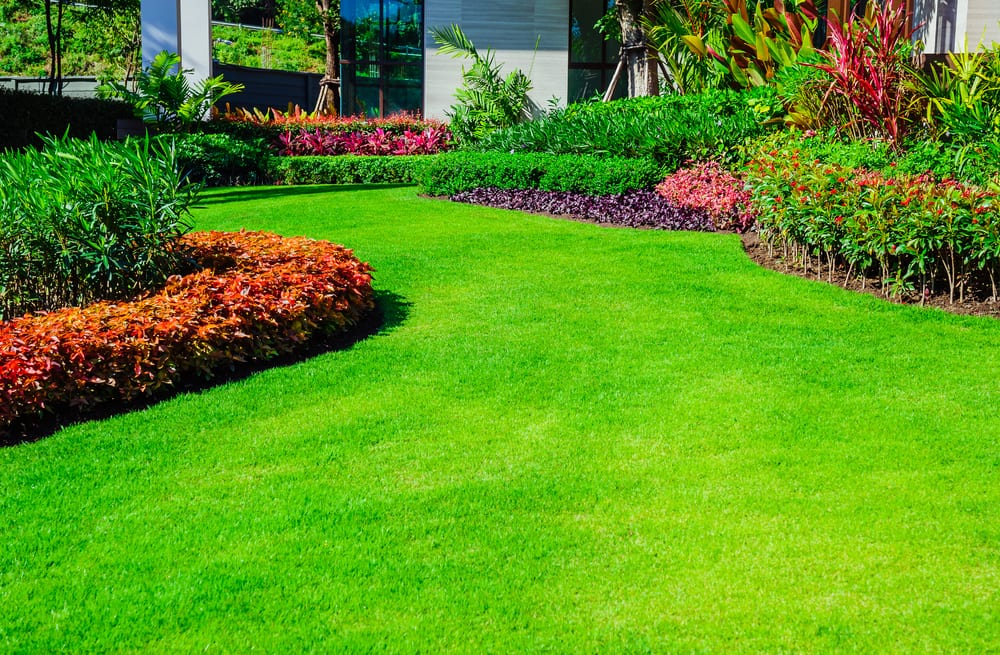 Lawn Maintenance Tips For A Healthy Landscape MBL Landscaping lawn-maintenance-tips-for-a-healthy-landscape-mbl-landscaping